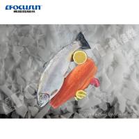 China Focusun 10ton Flake Ice Machine for Cooling Fresh Water at Affordable for sale