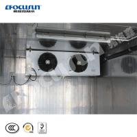 China Bitzer Compressor Containerized Cold Room for Storing Meat Seafood Vegetables or Ice for sale