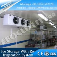 China 2024 Design Ice Storage with Refrigeration Equipment and Heart Preservation Material for sale