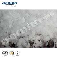 China Fresh Water Large Capacity 25 Ton Flake Ice Making Machine with Bitzer Compressor for sale
