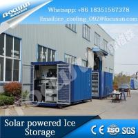 China Convenient and Portable Ice Storage with Foucusun Solar Powered Container Other Capacity for sale