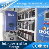 China Convenient and Portable Ice Storage with Foucusun Solar Powered Container Other Capacity for sale