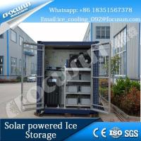 China Convenient and Portable Ice Storage with Foucusun Solar Powered Container Other Capacity for sale