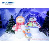 China Indoor Snow Park Ice Storage Capacity Other and On-site Installation After-sales Service2 for sale