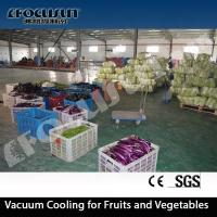 China PLC Controlled Industrial Water Chiller for Long-Term Vegetable Preservation and Cooling for sale