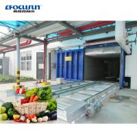 China Bizter Emerson Compressor Vacuum Cooling Equipment for Lettuce Precooling in Industry for sale