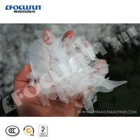 China Industrial Cooling Solution 10T/Day Containerized Flake Ice Machine with Air Cooling for sale
