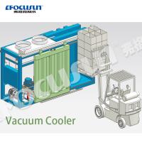 China Precooling Machine 1000KG one pallet Vacuum Cooler for Lettuce 380V/3P/50HZ for sale