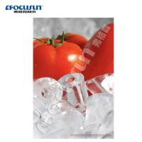 China Upgrade Your Business with 5 Ton/24 Hours Tube Ice Machine and Bitzer/Bock Compressor for sale