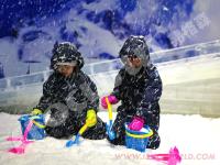 China 1500kg Automatic Scenery Snow Falling Machine with Video Outgoing-Inspection Provided for sale