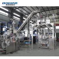 China Stainless Fully-automatic Ice Packer 3500*2005*5400mm with Plastic Packaging Material for sale