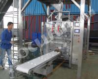 China Stainless Fully-automatic Ice Packer 3500*2005*5400mm with Plastic Packaging Material for sale
