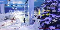 China Advanced Focusn 3500kg Scenery Snow Falling Machine for Manufacturing Plant for sale