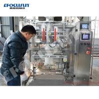 China Automatic Grade SUS304/316 Ice Bagger Packing Machine for Hot Popular Promotion 2022 for sale