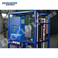 China Industrial Edible Ice Production Plant with 2 Ton Tube Ice Machine and PLC Control for sale