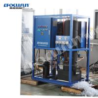 China Industrial Edible Ice Production Plant with 2 Ton Tube Ice Machine and PLC Control for sale