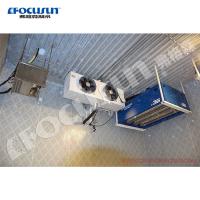China Small Production Snow Realistic Snow Effect Ice Storage Capacity Other Air Cooling Way for sale