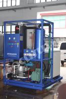China Industrial Tube Ice Machine With Our Stainless Steel 304 5ton for sale