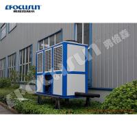 China Focusun Artificial Ski Snow Park Snow World Ice Making Machine with Core Components for sale