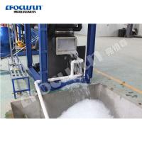 China 15 Ton Tube Ice Machine with Screw Ice Storage and Semi-Automatic Ice Packing Machine for sale