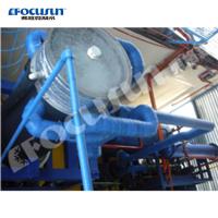 China 15 Ton Tube Ice Machine with Screw Ice Storage and Semi-Automatic Ice Packing Machine for sale
