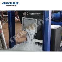 China 15 Ton Tube Ice Machine with Screw Ice Storage and Semi-Automatic Ice Packing Machine for sale