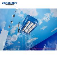 China Party Snowmaking Machine Focusun All Weather Snow Ice Machine with BITZER Compressor for sale