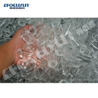 China Focusun Delivers 10T/24hr Food-Grade Tube Ice Machine for Retail Market in Shanghai for sale