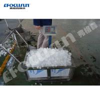 China Ice Storage Capacity FOCUSUN 20 T/Day Tube Ice Machine with Automatic Ice Packer for sale