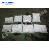 China Ice Storage Capacity FOCUSUN 20 T/Day Tube Ice Machine with Automatic Ice Packer for sale