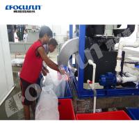 China Modern Design 10Ton/24hrs Crystal Tube Ice Machine for Drinks in Industrial Size for sale