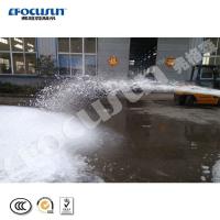 China Rake Ice Storage and Crushing Snow Making System for 700 Square Meters Using Tube Ice for sale