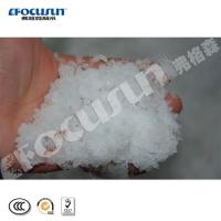 China Rake Ice Storage and Crushing Snow Making System for 700 Square Meters Using Tube Ice for sale