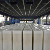China Automatic 20 ton San Luong Ice Block Machine with Direct Cooling by Focusun in Giang for sale