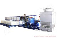 China Video Outgoing-Inspection 30 Ton Industrial Block Ice Machine for Country Markets for sale