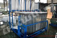China 220V-440V Voltage Customized Size 10T Block Ice Machine Directly from Manufacturers for sale