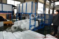 China 220V-440V Voltage Customized Size 10T Block Ice Machine Directly from Manufacturers for sale