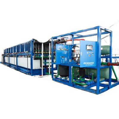 China Motor Core Components 10Ton Block Ice Making Machine for Fishing Video Inspection for sale