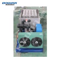 China Video Outgoing-Inspection 1 Ton Stainless Steel Block Ice Making Machine with 6kw Power for sale