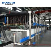 China ICE BLOCK 20 tons per day Industrial Direct Cooling system Block Ice Making Machines for sale