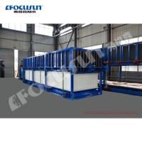 China 20 Tons Per Day Industrial Direct Cooling System Block Ice Maker for Ice Block Shape for sale