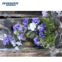 China Air Cooling Clear Block Ice Machine Small Capacity Ice Ball for Cold Drinks 600*250*1200mm for sale
