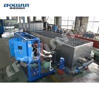 China Long Service Life Block Ice Maker with Brine System and Ice Crusher 5000 kilos per Day for sale