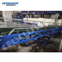 China Manufacturing Plant Ice Block Maker with Cold Storage Room and Low Voltage Components for sale