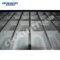 China Focusun 15 Ton Direct Cooling Block Ice Machine with Automatic Energy Saving Features for sale