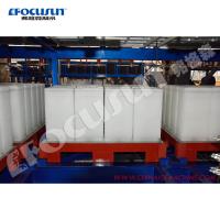 China Containerised Ice Block Making Machine 10 Tonnes Per Day Output Durable and Heavy-Duty for sale