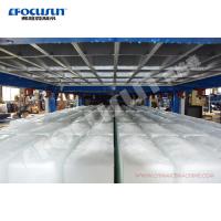 China Containerised Ice Block Making Machine 10 Tonnes Per Day Output Durable and Heavy-Duty for sale