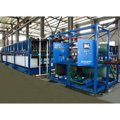 China Heavy Duty 30 Ton/Day Direct Cooling Block Ice Making Machine with Bitzer Compressor for sale