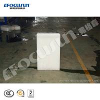 China Fast Cooling Direct System Block Ice Machine 10 Ton Daily Capacity with Bitzer Compressor for sale