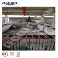 China Industrial 100MT Brine Technology Block Ice Machine with and Simens Control System for sale